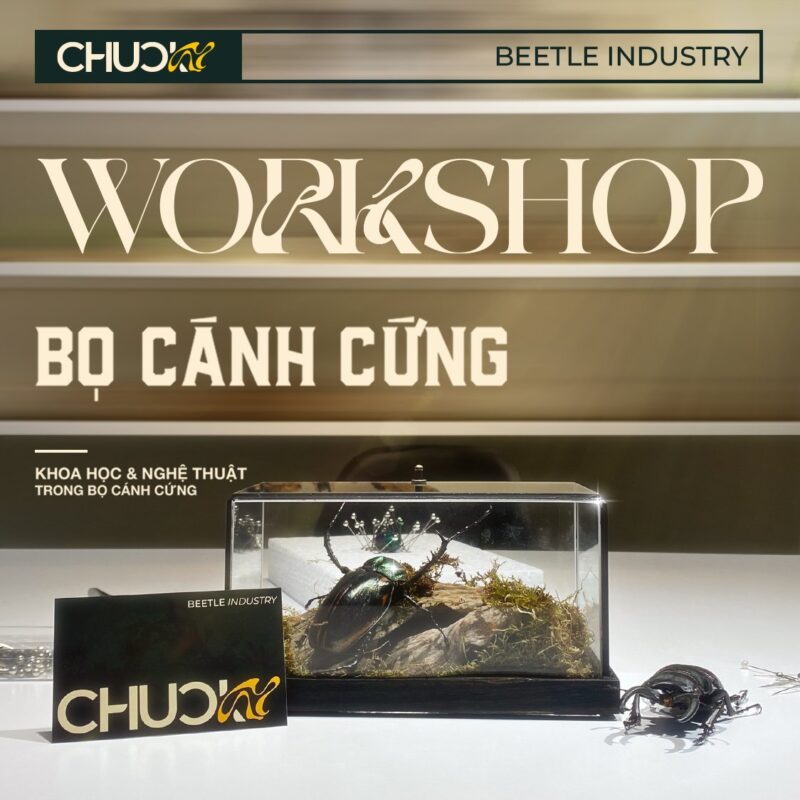 Trang Chủ - Chucky Beetle Industry